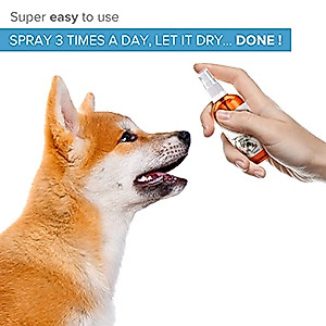 Premium Colloidal Silver 300ml 40ppm ● For Pets (Dogs, Cats, Fish) ● & Spray to Fill ● 100% Natural ● Higher Concentration, Smaller Particles = Better Results ● Lab Certified ● For Ear, Eyes, Skin