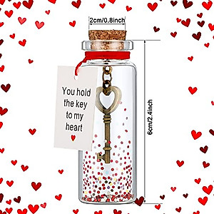 Zonon You Hold The Key to My Heart Romantic Wish Jar Love Message with Bottle Romantic Decoration for Boyfriend or Girlfriend Anniversary Romantic Gift Christmas Valentine's Day Gift for Her Him