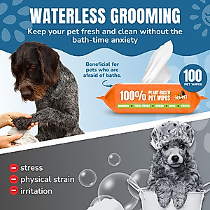 PET N PET Dog Grooming Wipes, 100% Plant Based Unscented Pet Wipes, Cleaning & Deodorizing for Dogs, 100 Counts