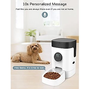 SHANDII Automatic Cat Feeder, 4L Programmable Pet Food Dispenser with Timer and Portion Control, 1-4 Meals per Day, Button-Lock Lid with Desiccant Bag, 10s Voice Recorder, BF40