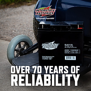 Interstate Batteries 12V 18Ah Battery (Nut & Bolt Terminal) SLA AGM VRLA Rechargeable Replacement for Solar Power, Generators, Medical Devices, Fences (SLA1116)