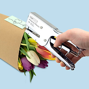 Rapesco 1298A Stapling Set with Porpoise Packaging Stapler with 10,000 Type 26 Standard 5/16" Staples, 45 Sheet Capacity, Chrome