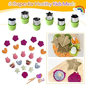 Sandwich Cutters for Kids,21 Pieces with Storage Box, 5 Kids Sandwich Cutters Shapes, 6 Fruit Vegetable Cutters Shapes,10 Food Picks,Sandwich Crust Cutter Set.Very Suitable for Kids Lunch Shape.