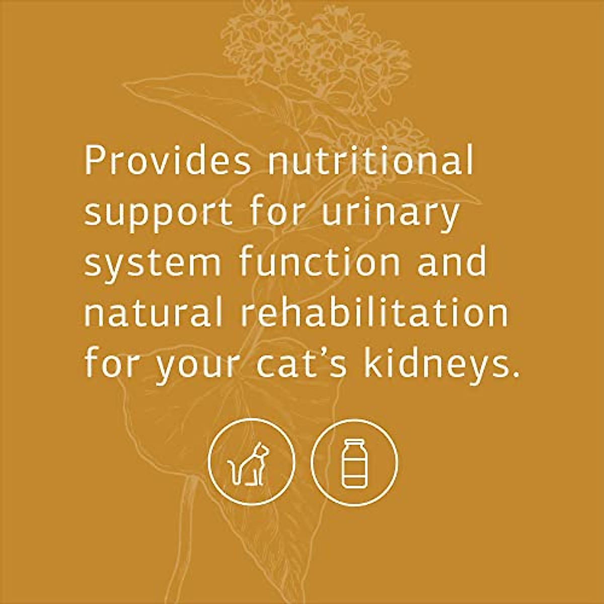 Standard Process - Feline Renal Support - Kidney and Urinary Health for Cats - 90 Tablets