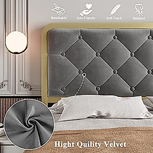 Feonase Twin Metal Bed Frame, Heavy Duty Platform Bed Frame with Steel Slats, Velvet Upholstered Headboard, 12" Storage Space, No Box Spring Required, Noise Free, Easy Assembly, Golden and Gray