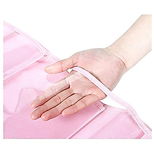 StrCloud 6 Pocket Hanging Handbag Organizer for Wardrobe Closet Transparent Storage Bag Door Wall Clear Sundry Shoe Bag with Hanger Pouch (Blue)