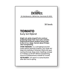 Burpee 'Early Girl',Slicing Tomato, 50 Non-GMO Seeds