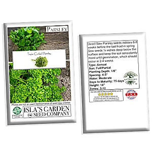 Triple Curled Parsley Seeds for Planting, 300+ Seeds Per Packet, (Isla's Garden Seeds), Non GMO & Heirloom Seeds, Botanical Name: Petroselinum crispum, Great Herb Garden Gift