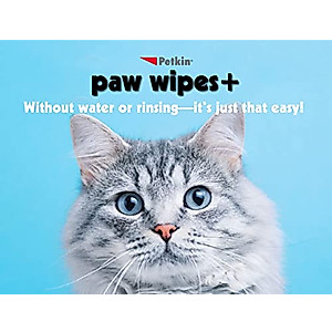 Petkin Paw Wipes Plus, 200 Orange Scented Wipes, 2 Pack - Absorbent Pet Paw Wipes Remove Daily Dirt & Odors - Enriched with Paw Balm Protectant -Easy to Use Pet Wipes for Dogs, Cats, Puppies & Kittens