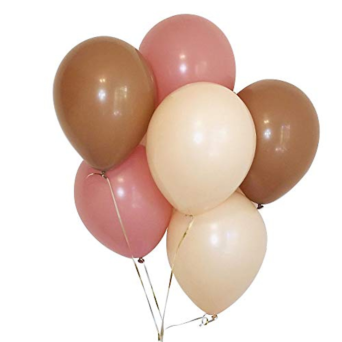 60PCS Blush Nude Cream Dusty Rose Mauve Pink Tan Brown 10 Inch Latex Balloon Backrop Arch Garland for Boho Nuetral Baby Shower Rustic Fall Bridal Shower Wedding Birthday Party Decoration