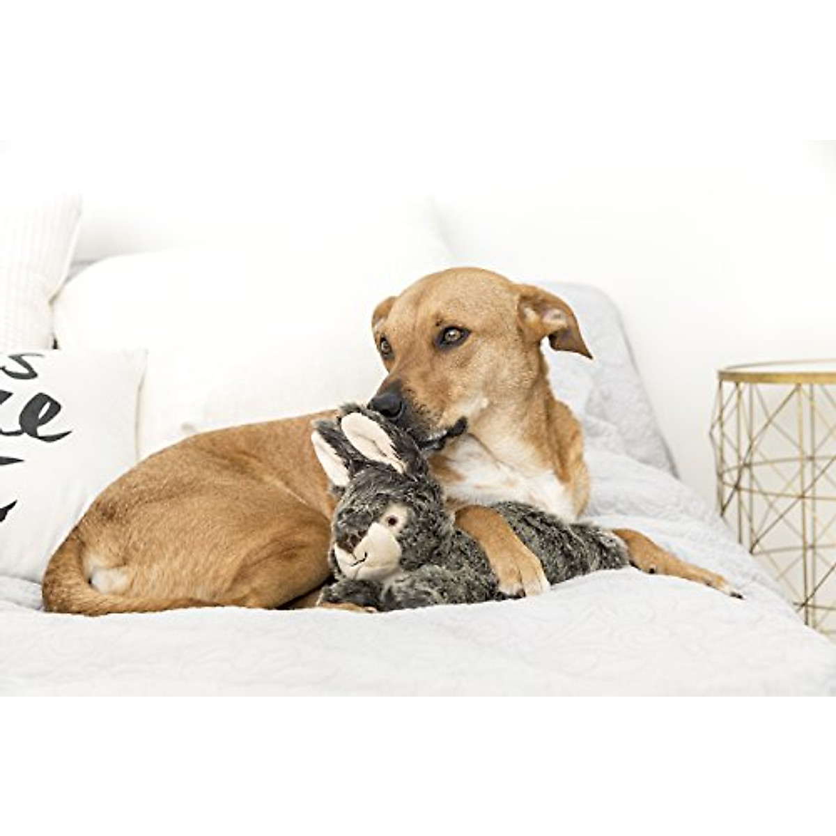 Fluff & Tuff – Walter Wabbit Plush Dog Toy