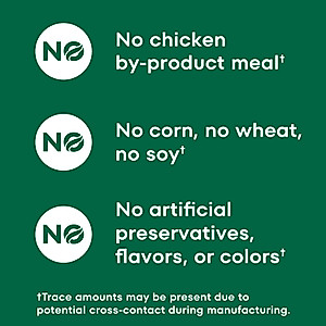 Nutro Crunchy Dog Treats With Real Peanut Butter, 16 oz. Bag