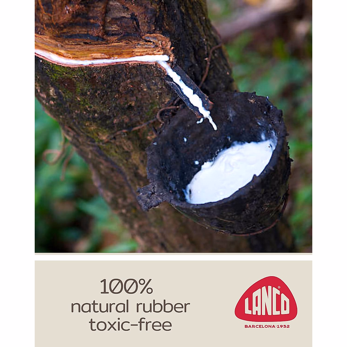 Crocodile Sensory Dog Toy Natural Rubber (Latex), Lead-Free & Chemical-Free, Complies to Same Safety Standards as Children’s Toys, Soft & Squeak