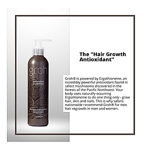 Groh Restorative Shampoo, 8oz.
