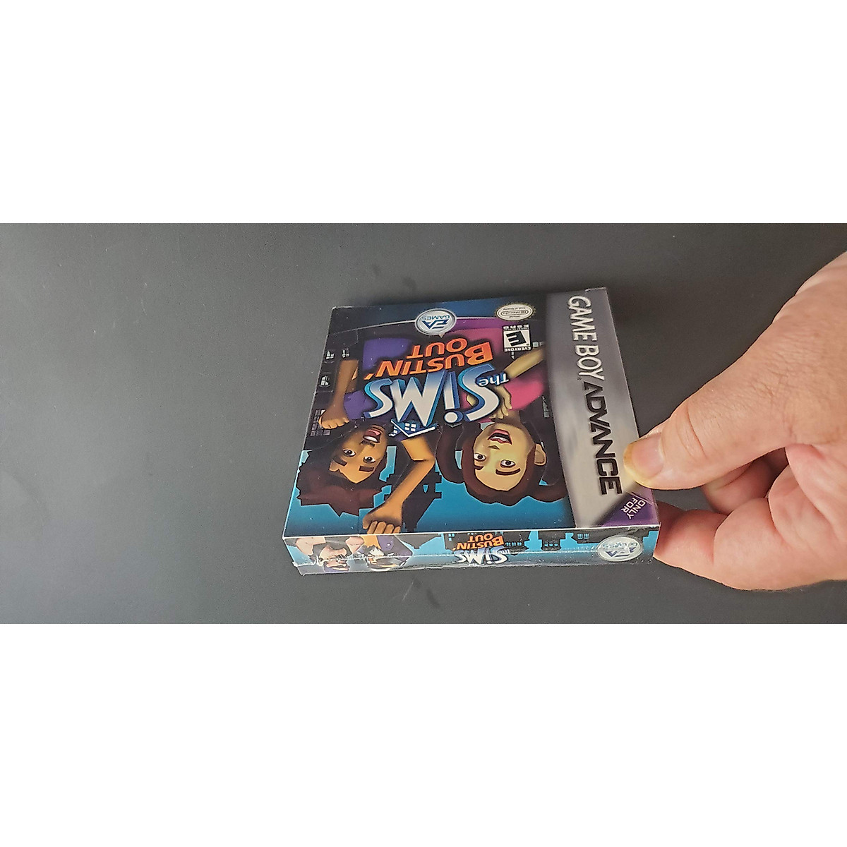 The Sims: Bustin' Out