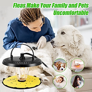 Flea Trap Indoor 2Pcs,Flea Strap Flea Killer Trap Pad Bed Bug Trap with 10 Glue Discs flea 4 Light Bulb Flea Trap for Inside Your Home Like Fleas,Flies,Mosquitoes,Gnats,Moths
