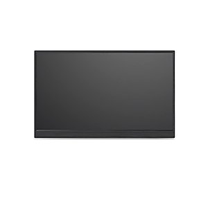 DFZ Portable Monitor, 15.6in IPS 1920X1080 Computer Display,Display Game Console Computer for Laptop