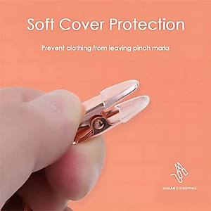 LOVENJOY Clothes Hooks Hangers Rack Metal Alloy Rose Gold for Underwear Bra Pants with Non Slip Clips for Laundry Lingerie Shop Display, 2 Pcs