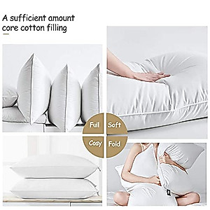 Toddler Pillow with Pillowcase | 13 x 18 Soft Hypoallergenic 100% Organic Cotton Baby Pillows for Sleeping | Small Kids Pillow, Infant - Perfect for Travel, Cribs Bed Sets, Machine Washable