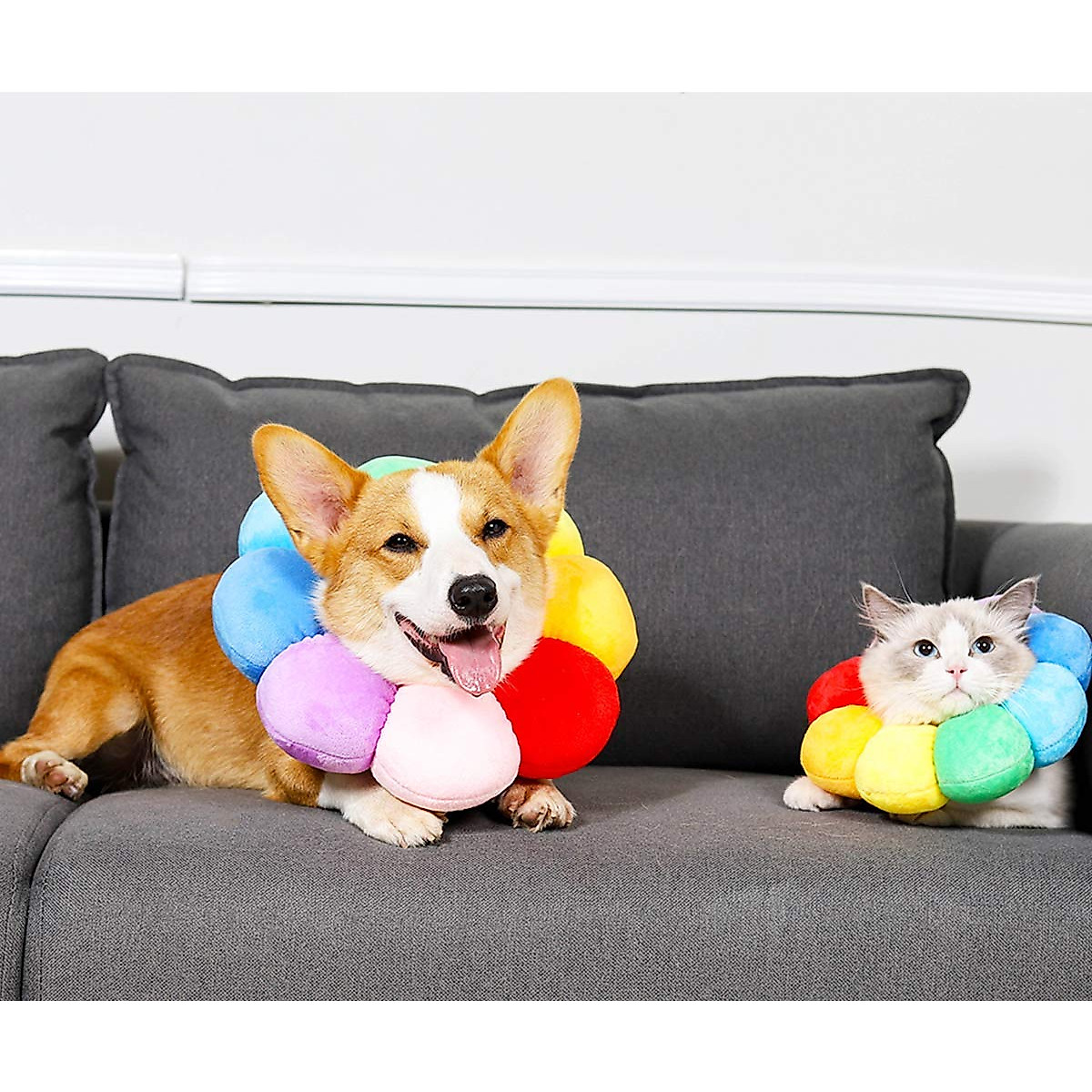 ccypet Pet Adjustable Recovery Collar - Recovery Protective Pet Cone Wound Healing Protective Soft Edge for Pets/Kitten/Cats/Small Dogs