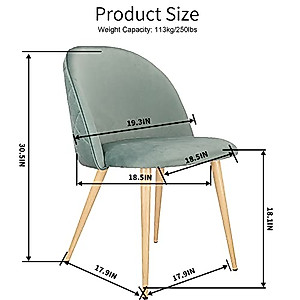 ExAchat Dining Chairs Set of 4, Velvet Dining Room Chairs Modern Kitchen Chairs with Backrest Wooden Style Metal Legs for Dining Room Living Room Restaurant Cafe Kitchen Green