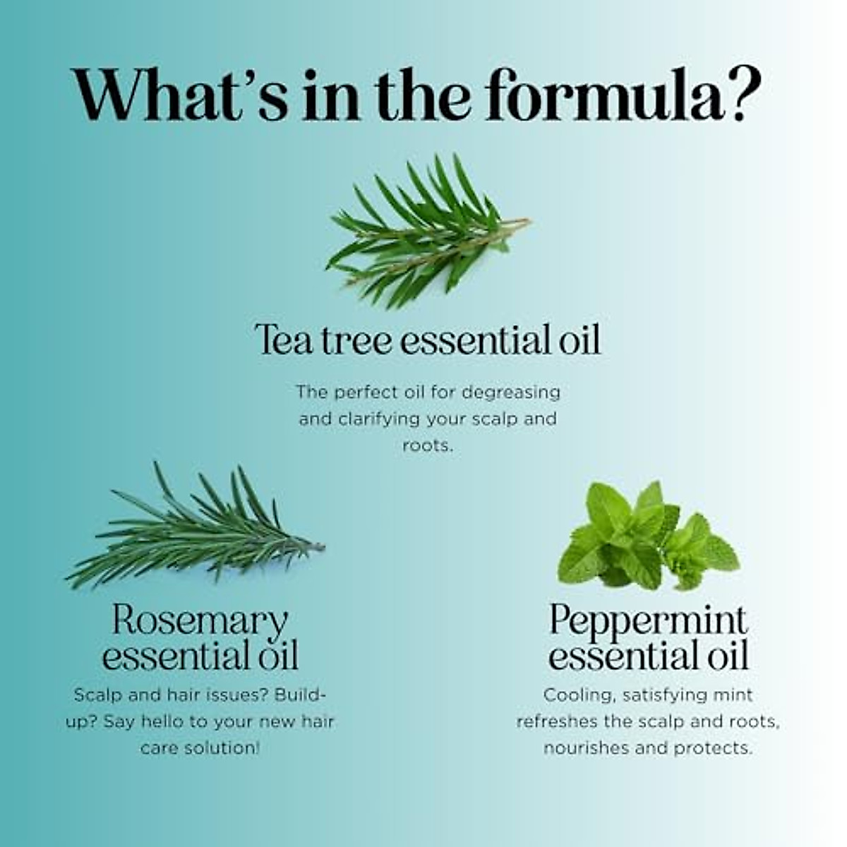 Rosemary Tea Tree Mint Shampoo - Clarifying Shampoo for Build Up and Flakes with Peppermint Oil and Tea Tree Essential Oil for Dry Scalp Treatment - Deep Cleansing Peppermint Tea Tree Shampoo (8oz)