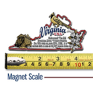 Virginia Information State Magnet by Classic Magnets, 4.4" x 2.3", Collectible Souvenirs Made in The USA