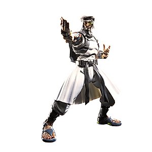 TAMASHII NATIONS Bandai S.H.Figuarts Rashid Street Fighter V Action Figure