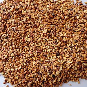 Frozen Seed Capsules - Rose Hip (Rosa canina) - Grow Now or Store for Future Planting - Capsule of 10 Seeds