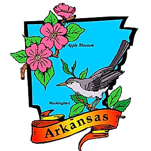 CafePress Arkansas Mug Ceramic Coffee Mug, Tea Cup 11 oz