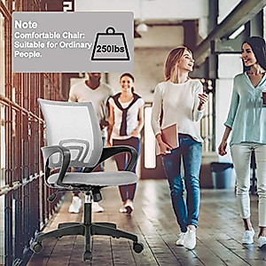 Home Office Chair Ergonomic Desk Chair Mesh Computer Chair with Lumbar Support Armrest Executive Rolling Swivel Adjustable Mid Back Task Chair for Women Adults (Grey)