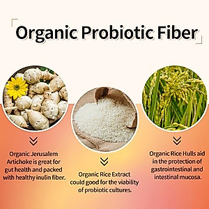 Lifeatlas 300 Billion CFU Probiotics - Probiotics for Women and Men - 12 Probiotic Strains Plus 3 Organic Prebiotic, Probiotics for Digestive Health, Gut & Immune Health, Gas & Bloating, 120 Capsules