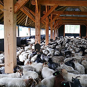 Kaulhp Goat Hay Feeder, Hay Bag for Goats Small Front Hole Bags for Nigerian Dwarf Goat, Less Hay Waste Tote Bag for Traveling,for Sheep Fair, Paddock, Stalll (Classic Black)