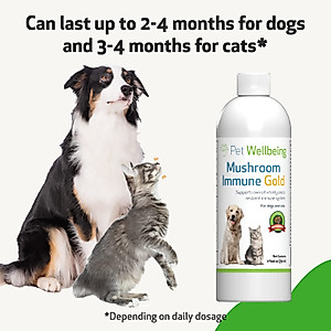 Pet Wellbeing - Mushroom Immune Gold - Natural Alternative Immune Support for Dogs and Cats - 8oz (237ml).