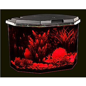 Koller Products 6.5-Gallon Aquarium Kit with Power Filter and LED Lighting, (AP650)