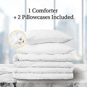 Personalized Koala Comforter Queen - Koala Comforter Twin Size, Koala Bed Set Twin Koala Comforter Set for Boys Girls Koala Bedding Sets Lightweight, Koala Bed Sets Queen Size Koala Comforter Set