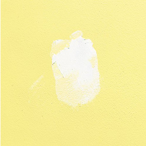 1/2 pt Dap 12328 DryDex Interior/Exterior Spackling