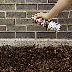 Spectracide Ant Shield Insect Killer Aerosol, 15-Ounce, Case Pack of 12