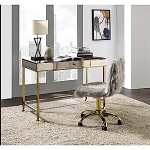 Acme Furniture Canine Writing Desk, Smoky Mirroed and Champagne Finish
