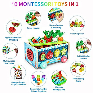 10-In-1 Wooden Montessori Toys for Toddlers, Carrot Harvest, Shapes Sorting &Matching, Stacking Cups, Fruits Lacing Threading,Preschool Learning Fine Motor Skills Game for 1 2 3 4 Years Old Babies