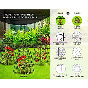 Garden Cloche Plant Protectors from Animals Chicken Wire Cloche Dome for Plants to Protect from Deer Rabbits in Outdoor Vegetable Garden with Thick Rustproof Large Cloches 12" Cage 20" High Set of 6