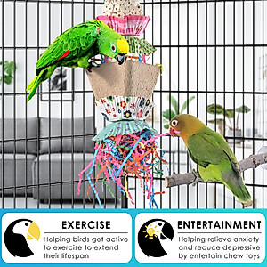 Bissap Conure Toys, Bird Parrot Foraging Shredder Hanging Toys 2 Sola Balls Wooden Block Tassels with Bell for Small Parrots Parakeets Conures Cockatiels Love Birds Cage Toy