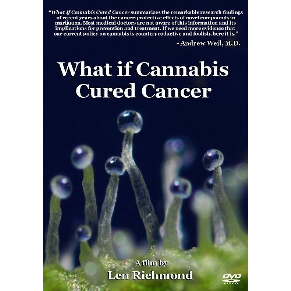 What If Cannabis Cured Cancer