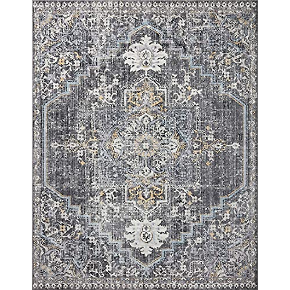 Loloi II Cassandra Collection CSN-02 Charcoal/Gold, Traditional 7'-10" x 10' Area Rug