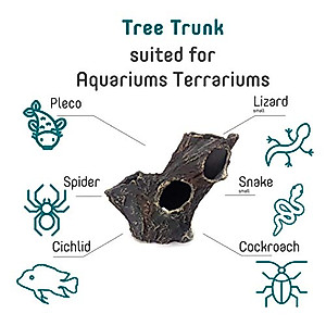 Plecoceramics Large Aquarium Cave Hiding Place for Fish Ceramic Decoration Hideout Tree Trunk Log for plecos and Cichlids