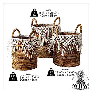 Boho Romantic Lace Baskets, Set of 3, Knotted Fringe Cotton Macrame Details, Relaxed Coastal Style, Woven Chunky Banana Leaf, Thick Handles, 21.75, 19.75, and 1