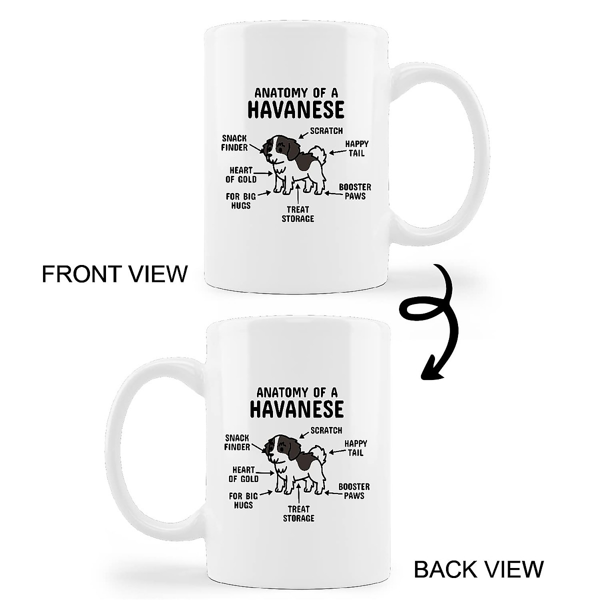 kunlisa Funny Havanese Mug Cup,Anatomy of a Havanese Ceramic Mug-11oz Coffee Milk Tea Mug Cup,Gifts For Dog Lovers Havanese Mom Dog Mom Women Men Teen Girls,Pet Lovers Coworkers Gifts