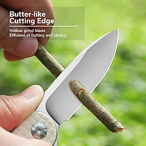 CIVIVI Folding Pocket Knife- Elementum Flipper Knife with 2.96'' D2 Blade G10 Handle, Ideal for Outdoor EDC Gift C907A-3