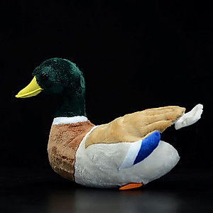 Nohito Kawaii Realistic Mallard Duck Plush Toy Stuffed Animal Lifelike Green Duck Plushie Pillow Doll Home Decoration 12.2" Long (Mallard Duck)