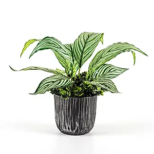 Artificial Plants & Greenery,Green Artificial Potted Plants,Artificial Greening Plants,Artificial Plant Trees,for Garden and Home Decoration,Dining Table,Room,Office,Courtyard and Other Indoor…